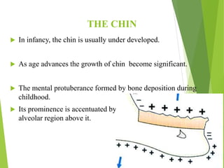 Growth and development of mandible | PPT