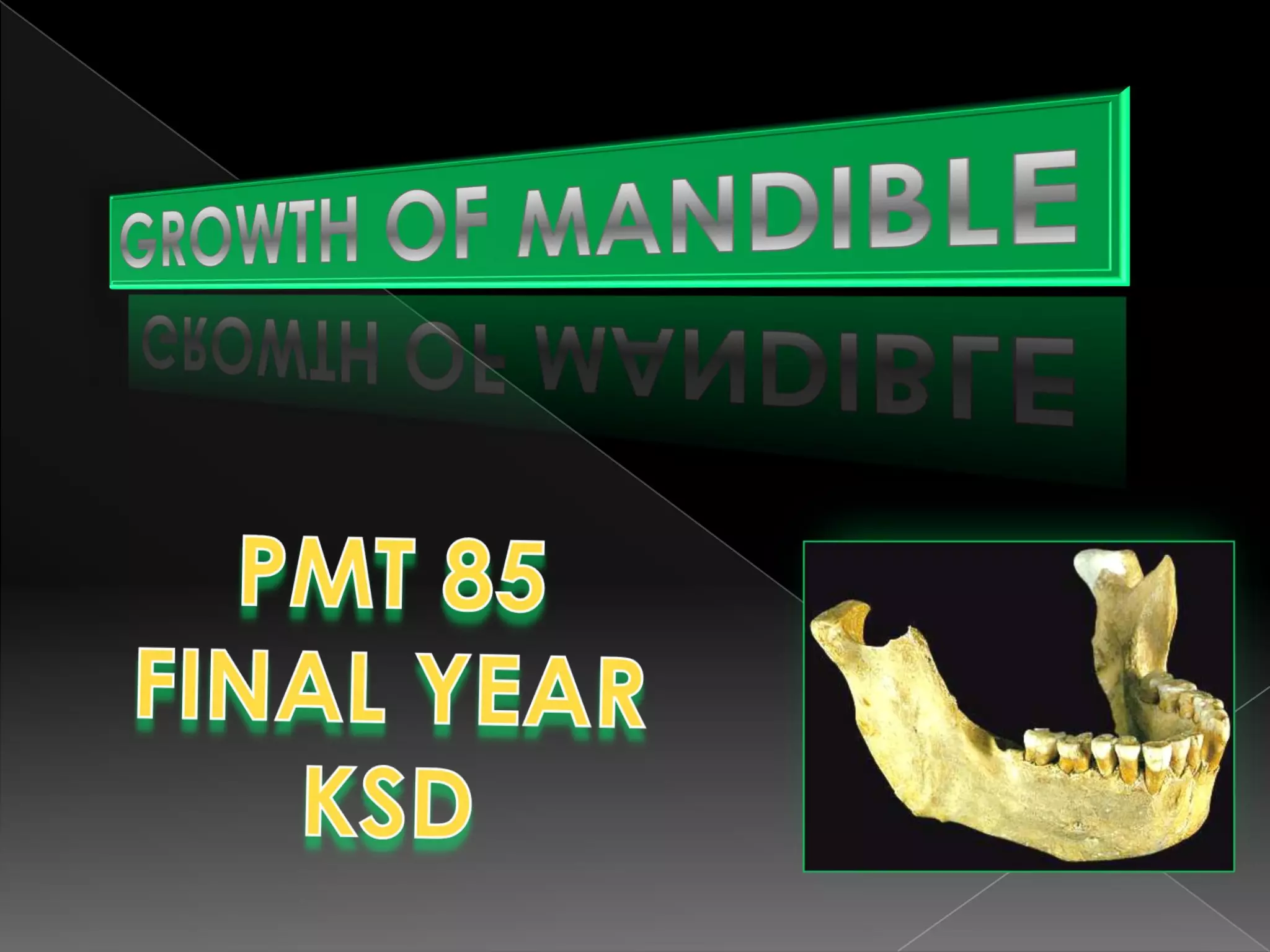 Growth of mandible | PDF
