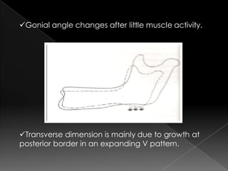 Growth of mandible | PDF
