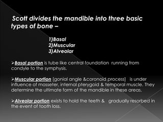 Growth of mandible | PDF