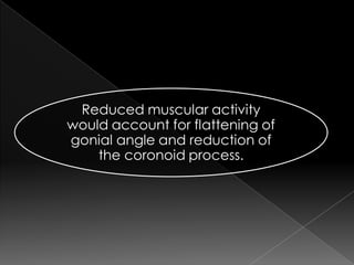 Growth of mandible | PDF