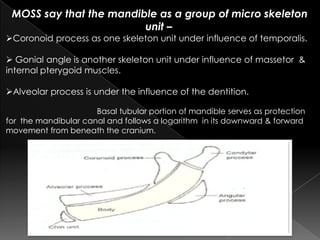 Growth of mandible | PDF