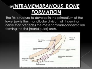 Growth of mandible | PDF