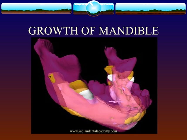 Growth of mandible /certified fixed orthodontic courses by Indian ...