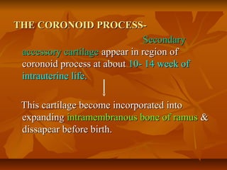Growth of mandible | PPT