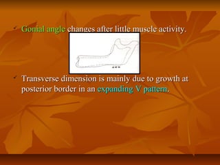 Growth of mandible | PPT