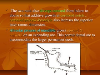 Growth of mandible | PPT