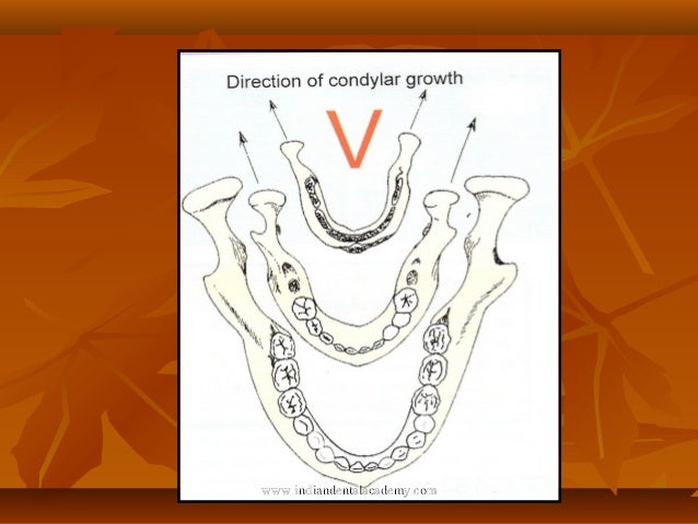 Growth of mandible