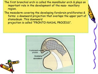 GROWTH_OF_MAXILLA__orthodontics__PDF form | PPT
