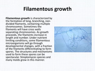 Growth of microbes in batch culture | PPTX
