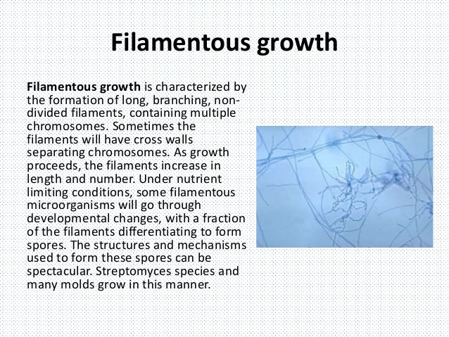Growth of microbes in batch culture