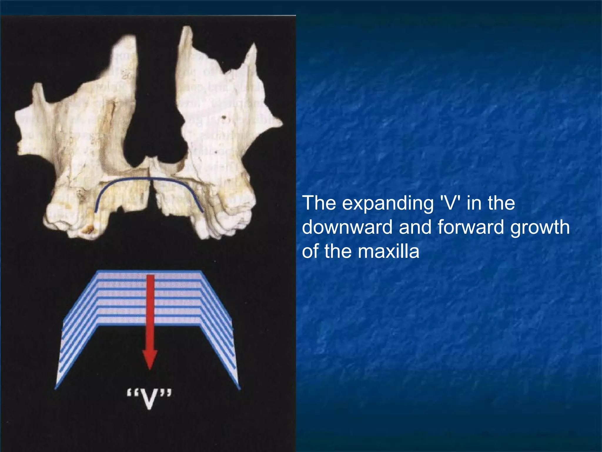 Growth of Nasomaxillary Complex and Mandible | PPT