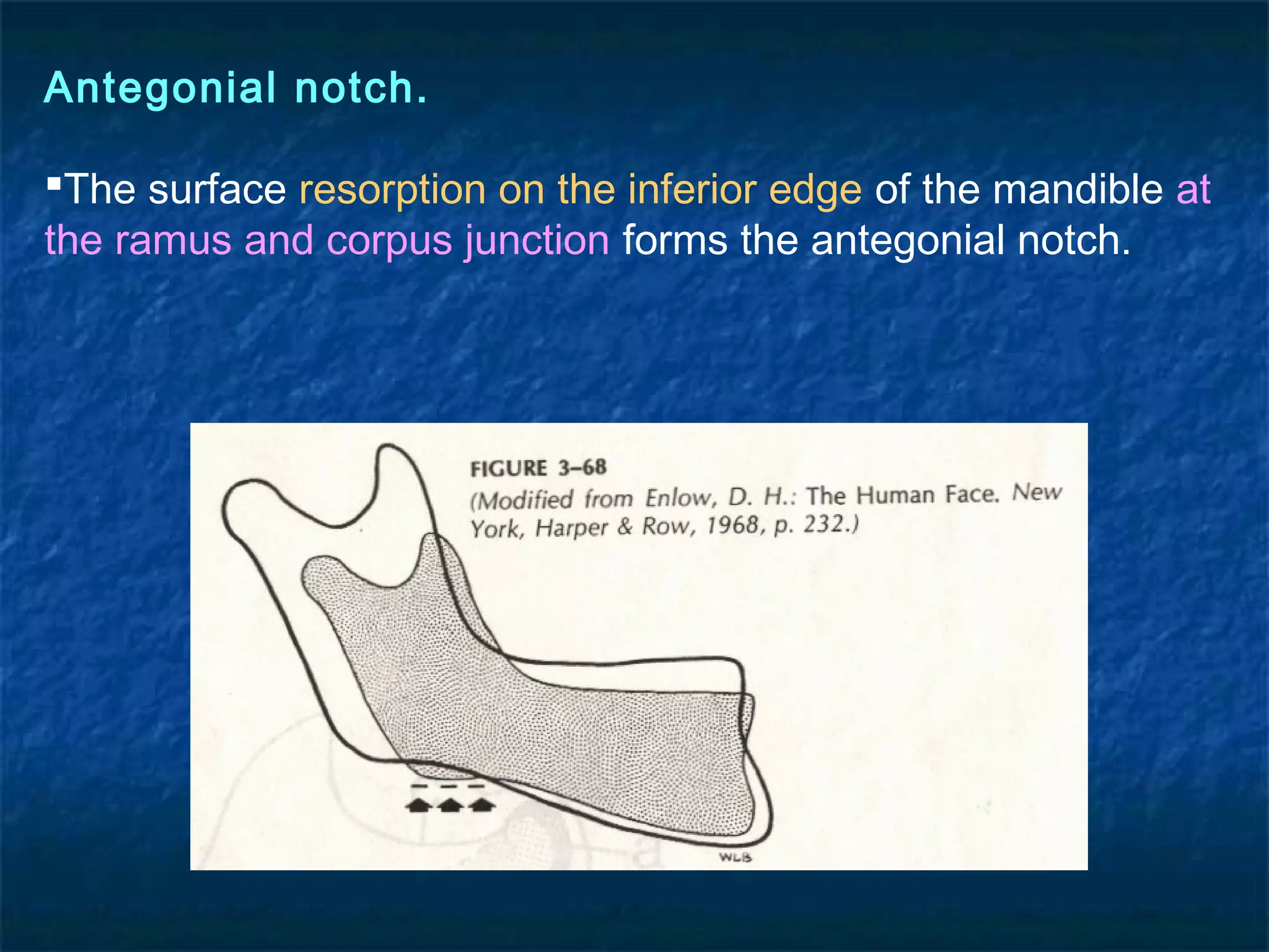 Growth of Nasomaxillary Complex and Mandible | PPT