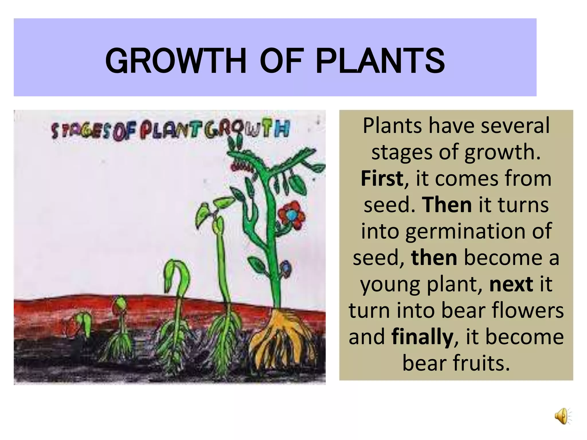 GROWTH OF PLANTS.pptx