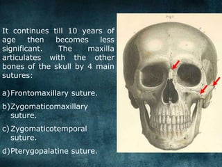 Growth of the maxilla | PPTX