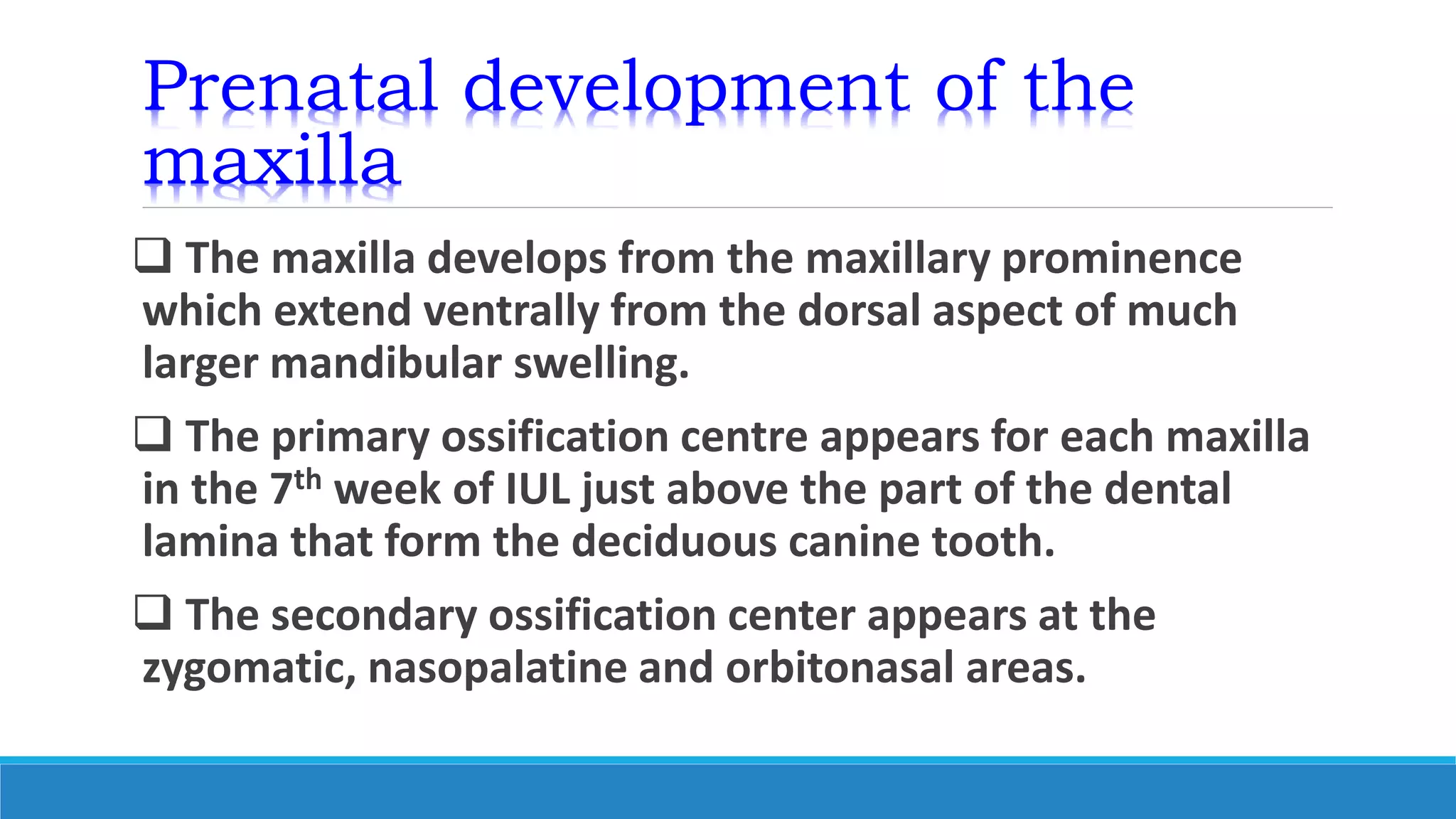 Growth of the maxilla | PPTX