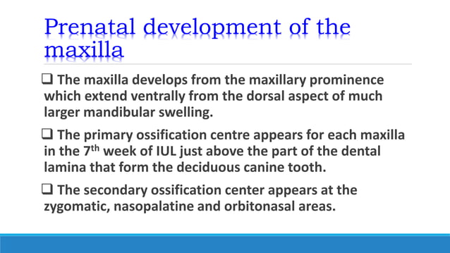 Growth of the maxilla | PPT