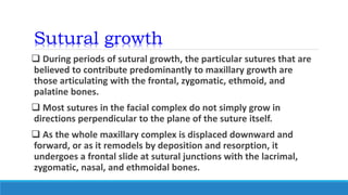 Growth of the maxilla | PPTX
