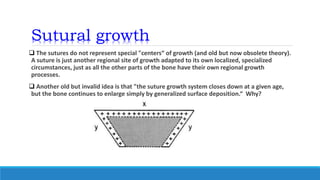 Growth of the maxilla | PPTX