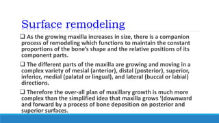 Growth of the maxilla | PPT