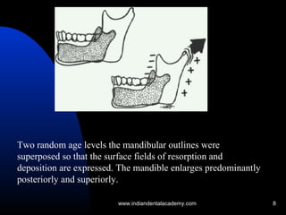 Growth pattern of mandible | PPT