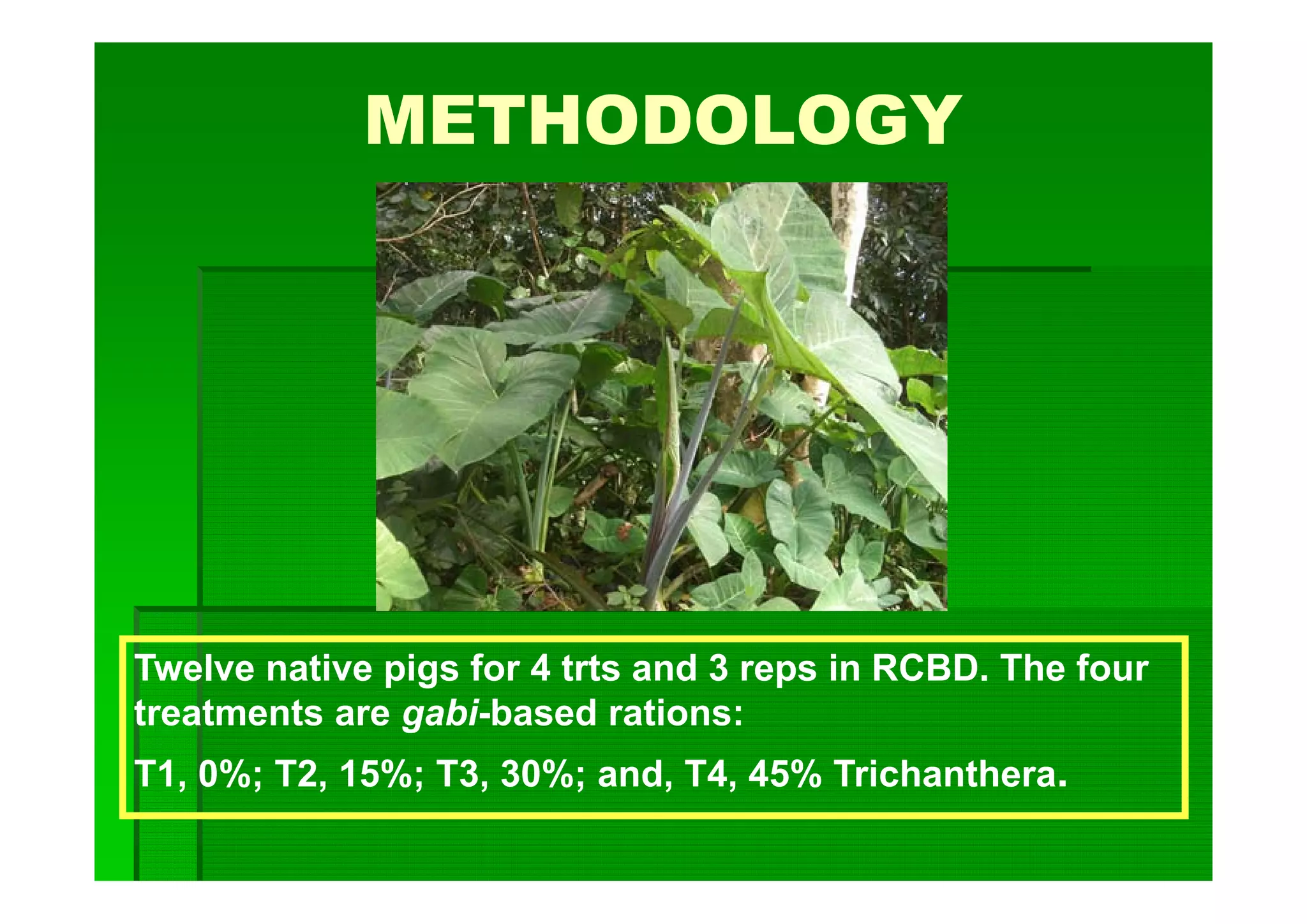 Developing the Potential of Native Pigs for Organic Meat Production | PDF