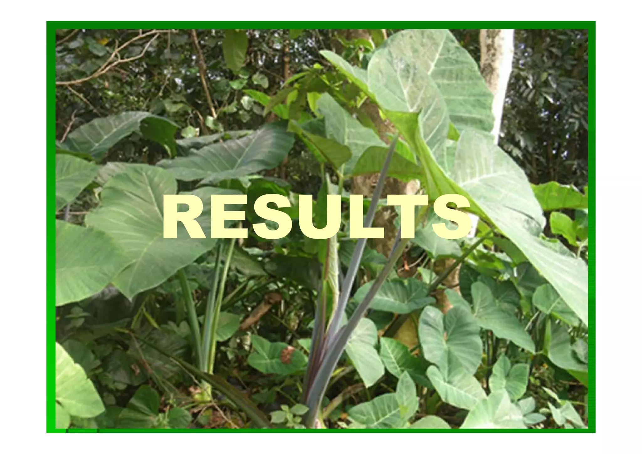 Developing the Potential of Native Pigs for Organic Meat Production | PDF