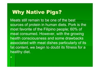 Developing the Potential of Native Pigs for Organic Meat Production | PDF
