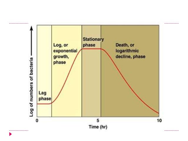 DIFFERENT PHASES OF GROWTH- GROWTH CURVE