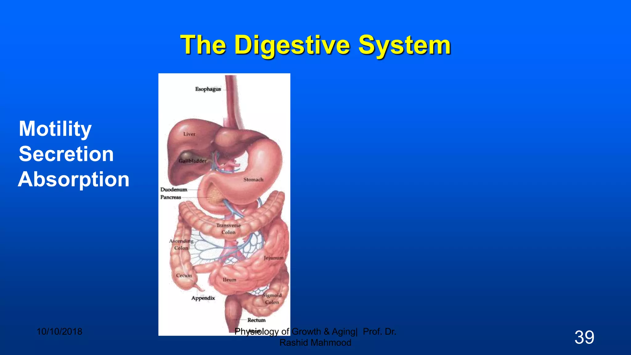 Growth physiology physiology of aging | PPTX