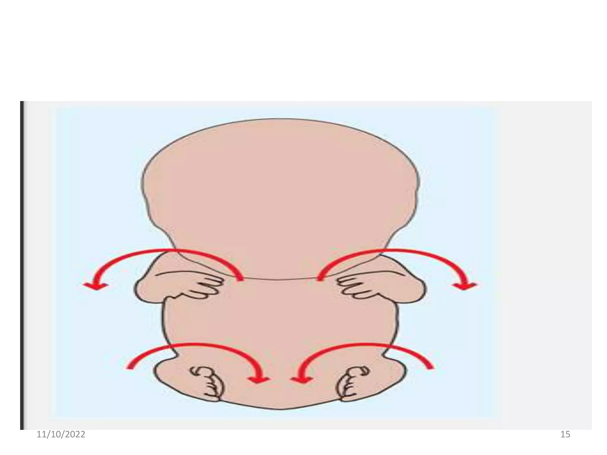 Growth plate and Bone development.pptx | Bone and Joint Conditions ...