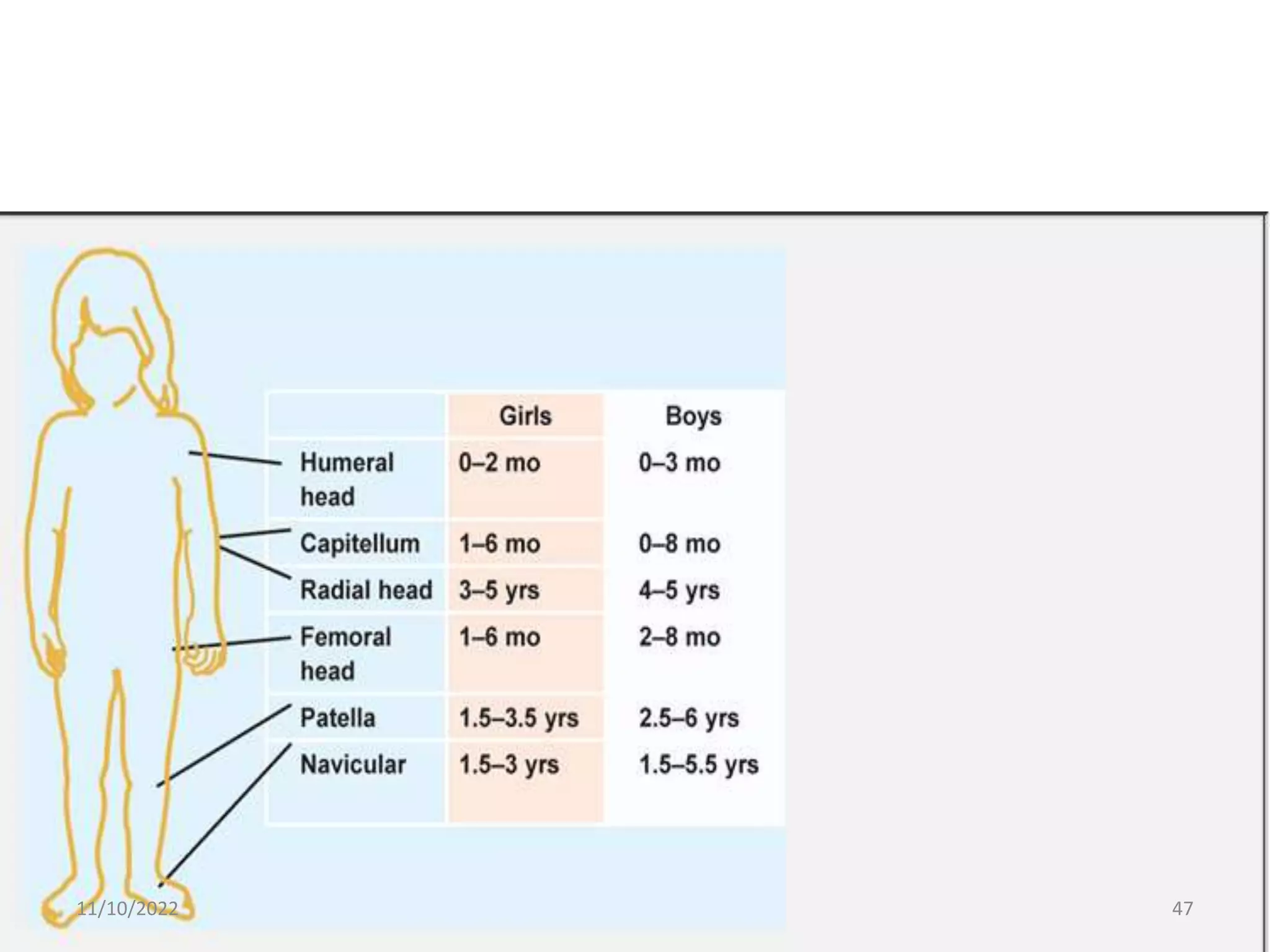 Growth plate and Bone development.pptx | Bone and Joint Conditions ...