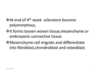 Growth plate and Bone development.pptx