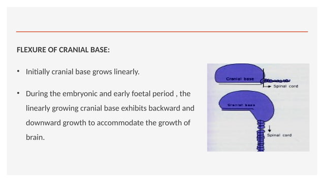prenatal and post natal growth of craniofacial complex | PPT