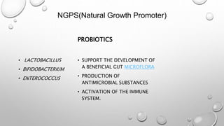 Growth promoter in poultry feed | PPTX