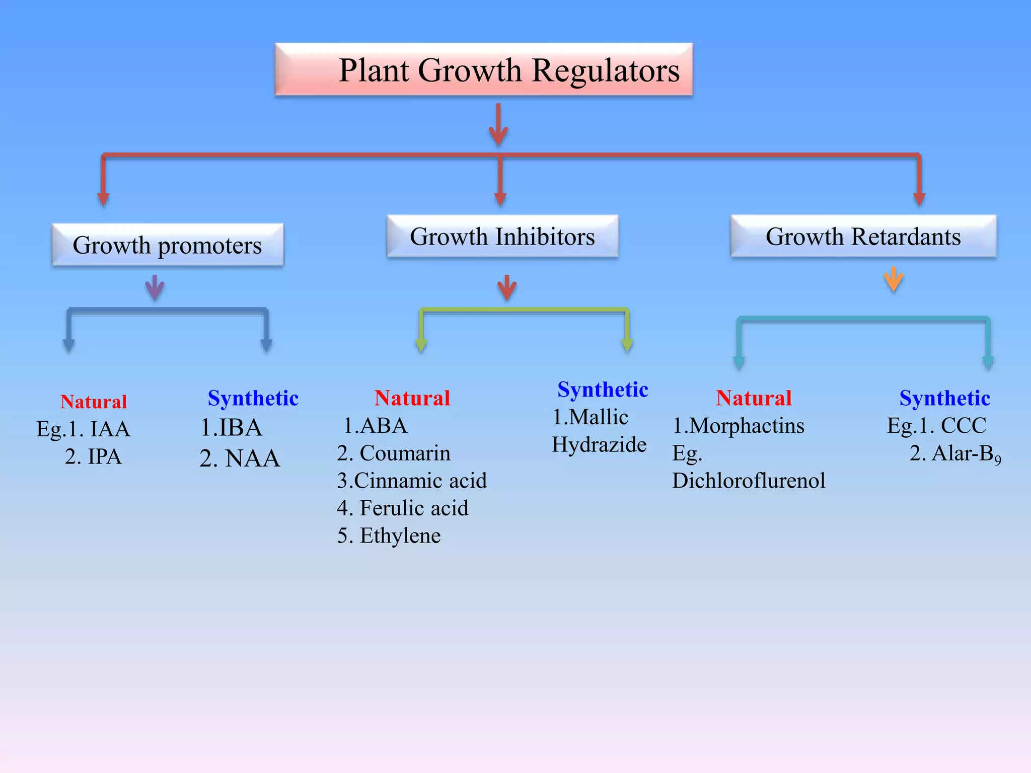growth regulator in veg CS (1).pptx