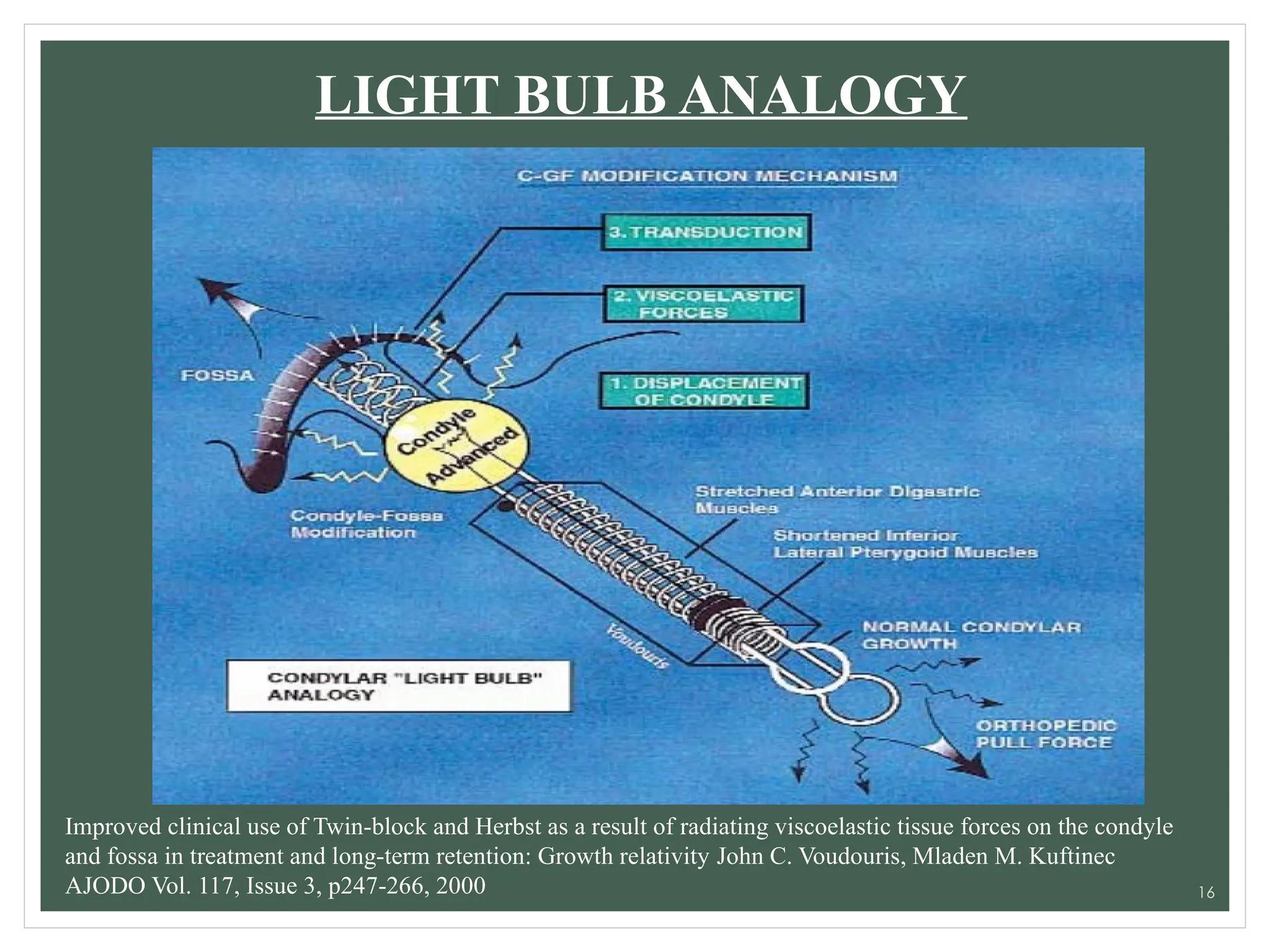GROWTH RELATIVITY HYPOTHESIS ORTHODONTICS.pptx