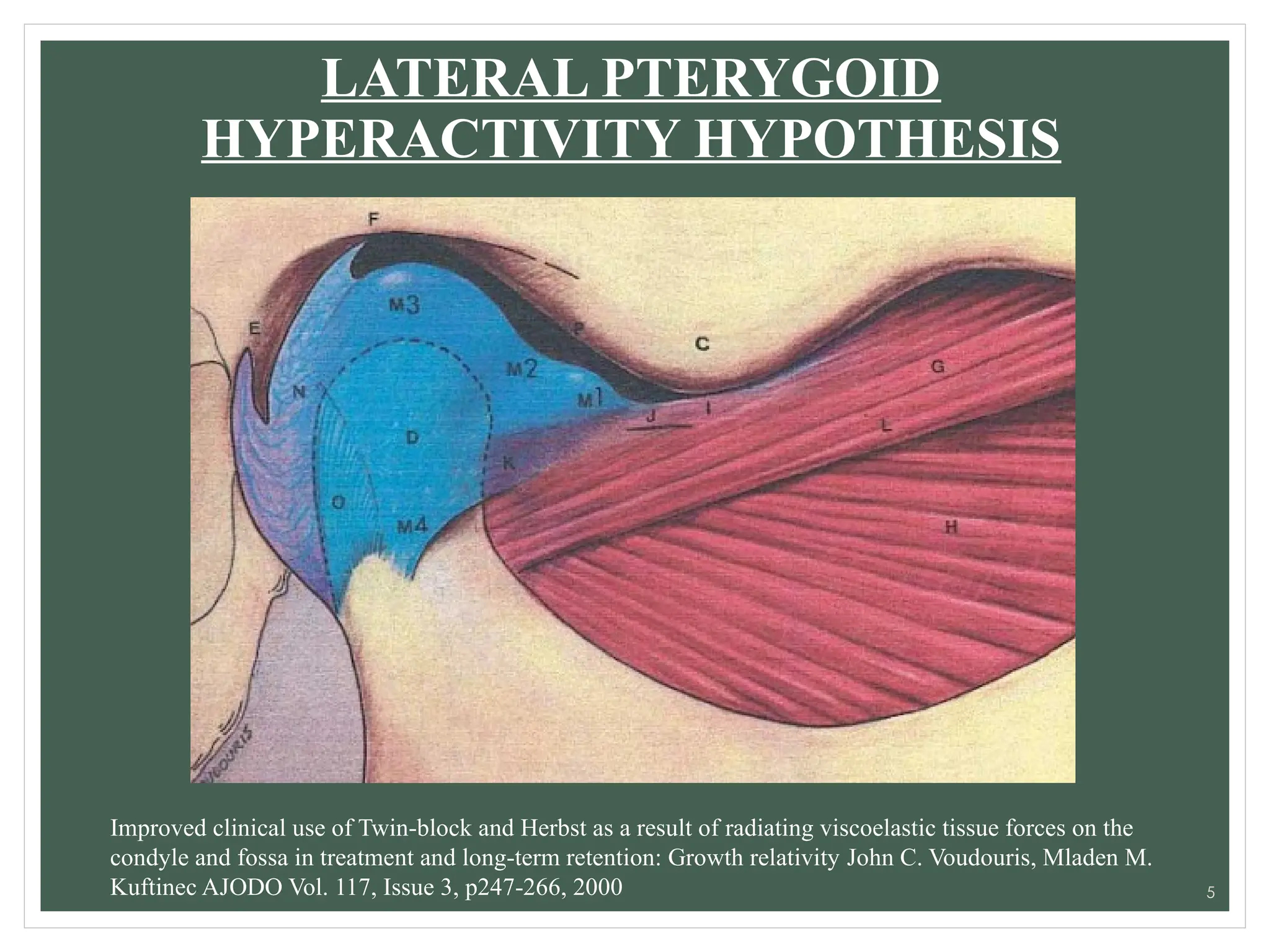 GROWTH RELATIVITY HYPOTHESIS ORTHODONTICS.pptx