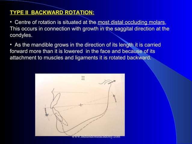 Growth rotation | PPT
