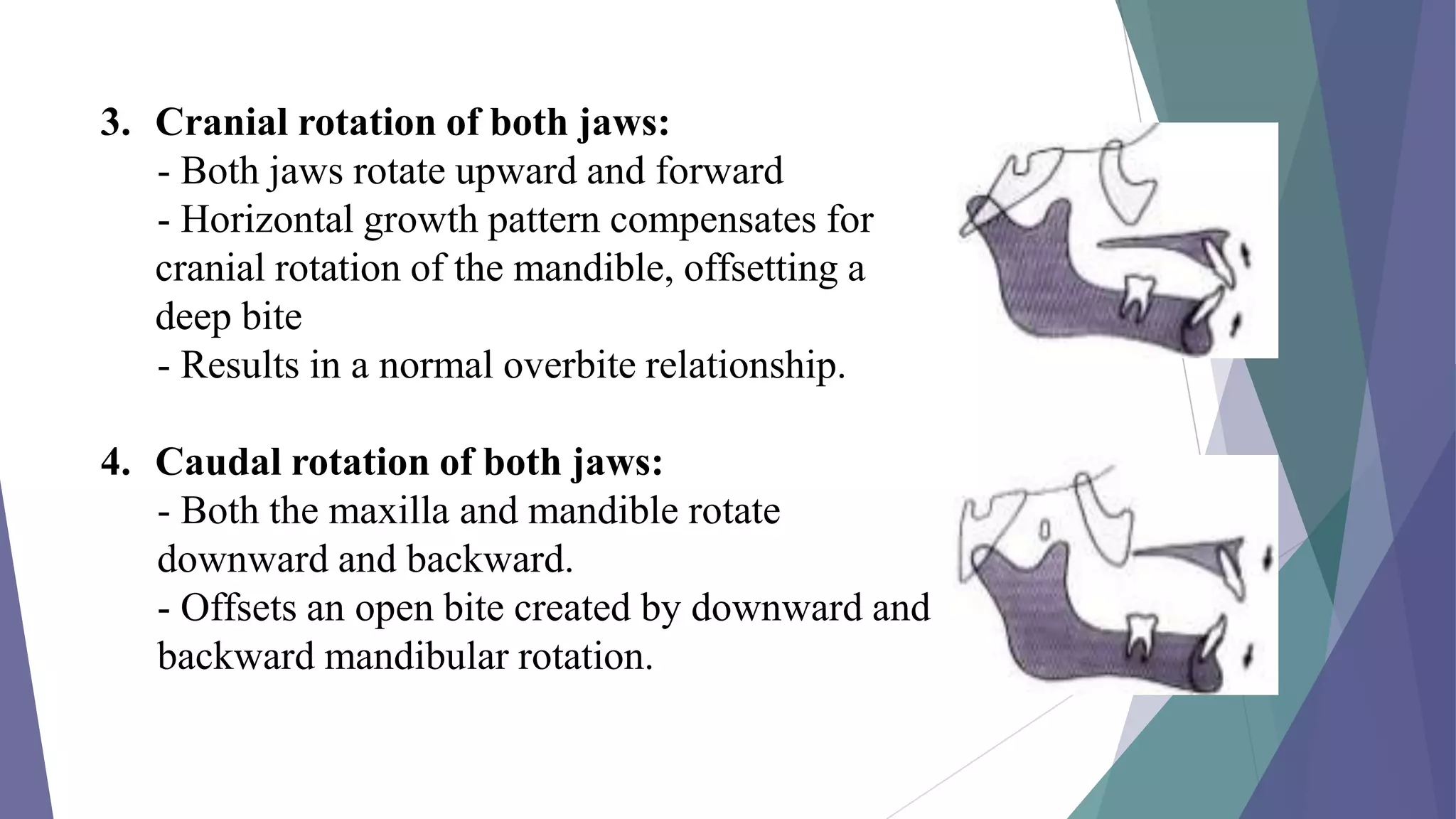 Growth rotations | PPTX