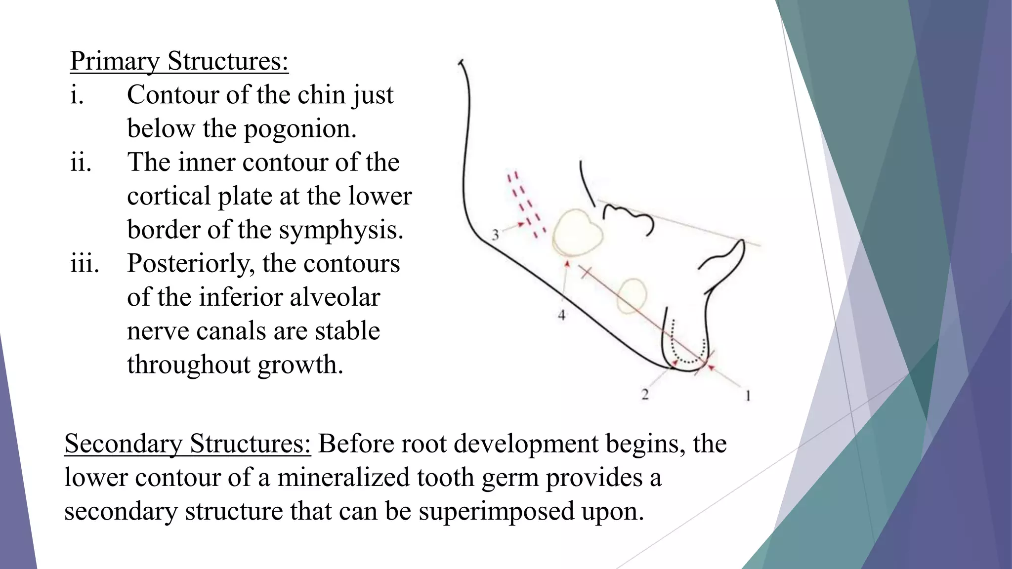 Growth rotations | PPTX
