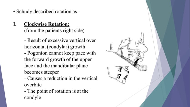 Growth rotations | PPTX | Bone and Joint Conditions | Diseases and ...