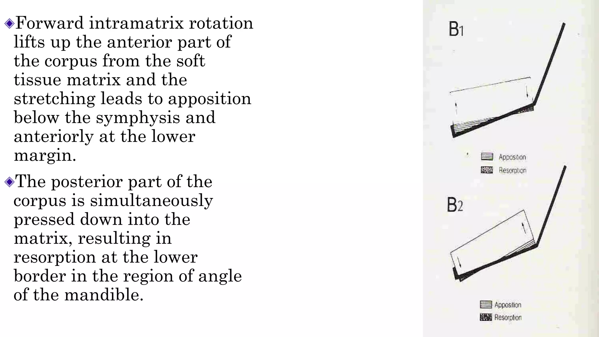 Growth Rotations.ppt