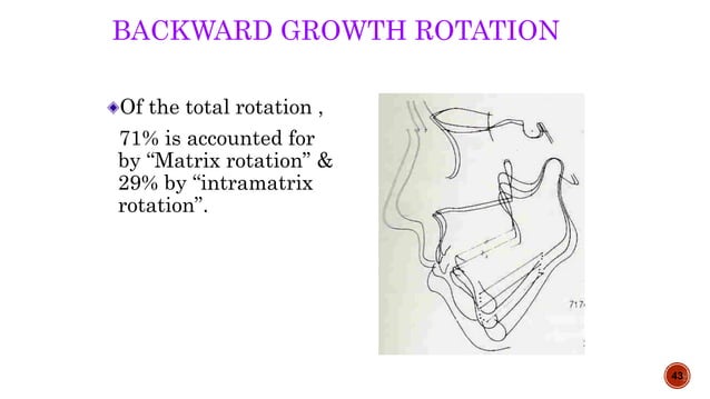 Growth Rotations.ppt
