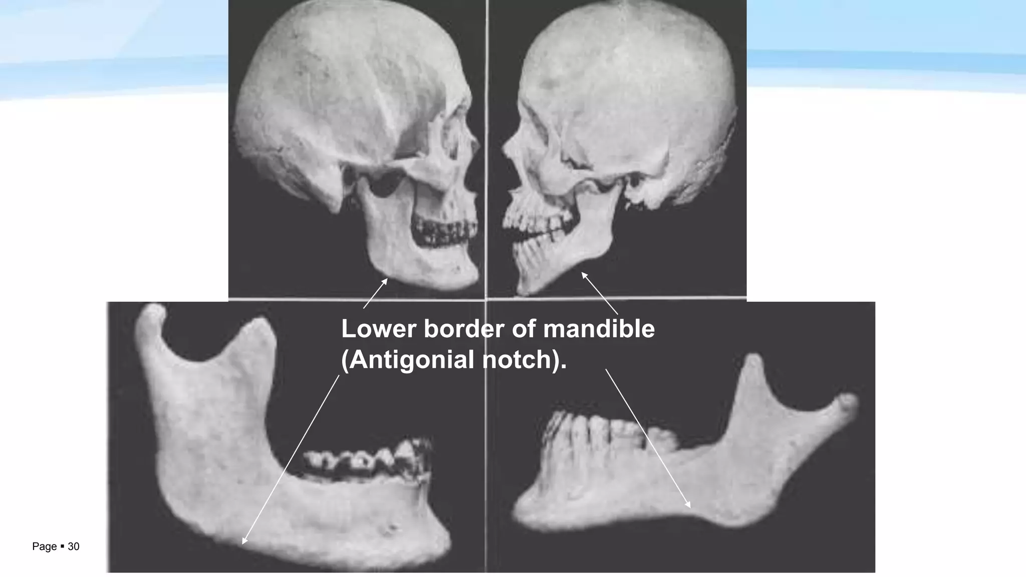 Growth rotations in orthodontics | PPTX