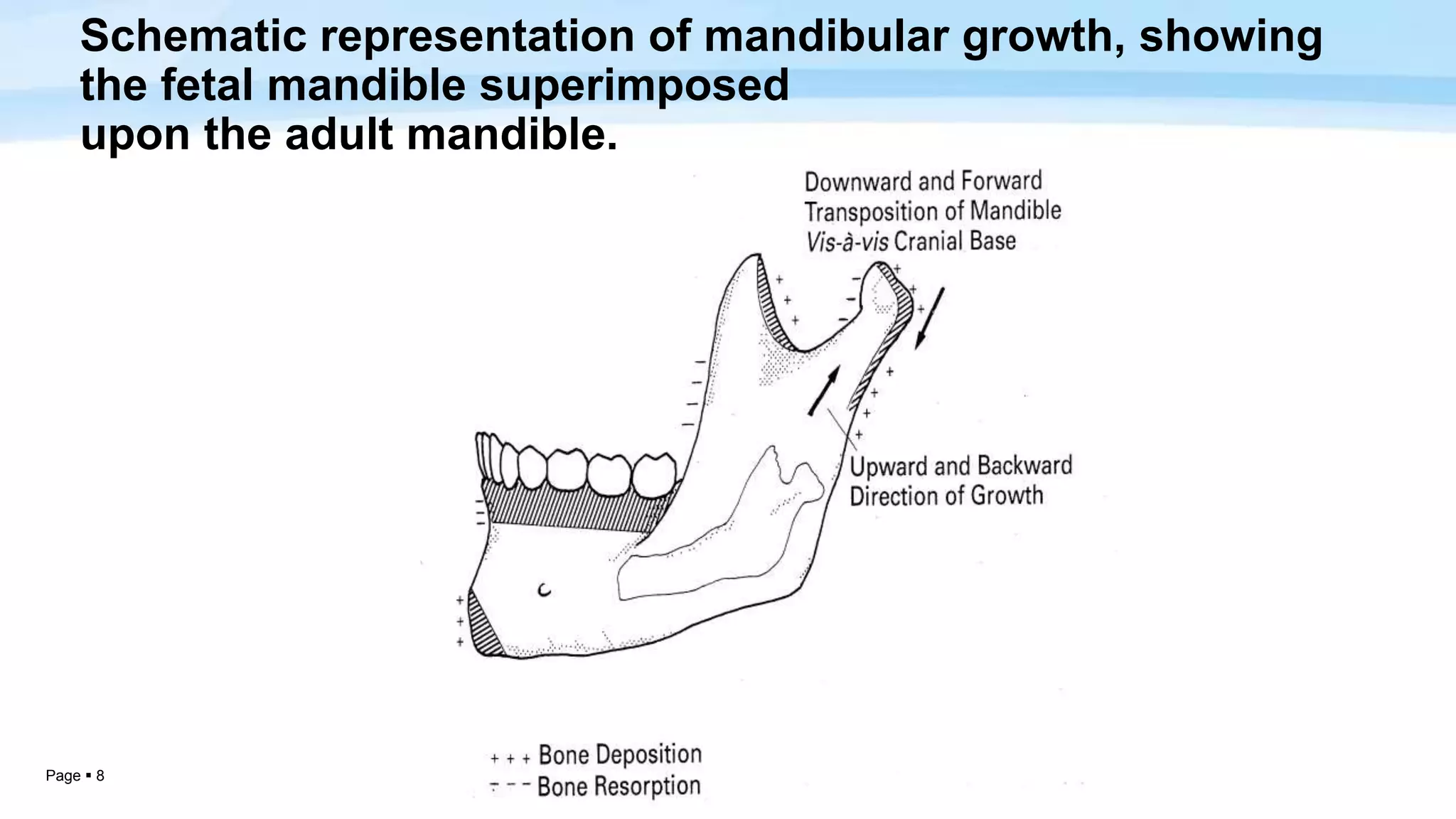 Growth rotations in orthodontics | PPTX