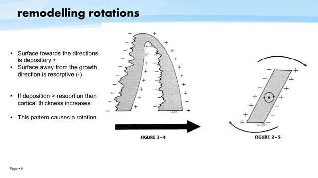 Growth rotations in orthodontics | PPTX