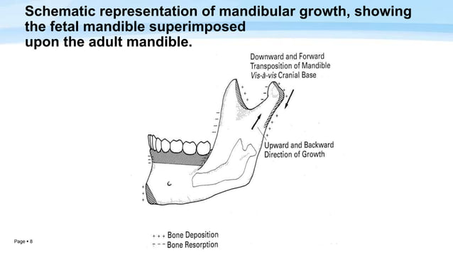 Growth rotations in orthodontics | PPTX