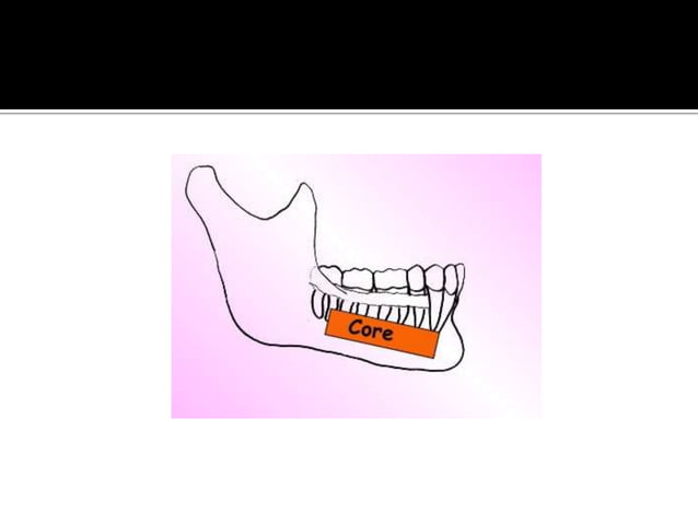 Growth rotations of the jaws | PPT