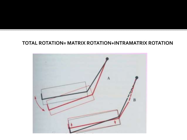 Growth rotations of the jaws | PPT